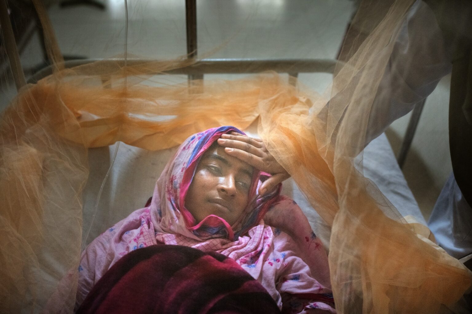 Home 2025 - World NTD Day